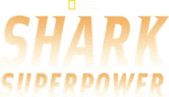 Shark Superpower - Disney+