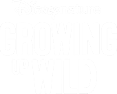 Disneynature Growing Up Wild - Disney+