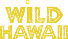 Wild Hawaii - Disney+