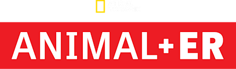 Animal ER - Disney+