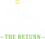 The Biggest Little Farm: The Return - Disney+