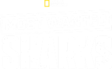 Most Wanted Sharks - Disney+