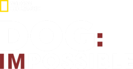 Dog: Impossible - Disney+