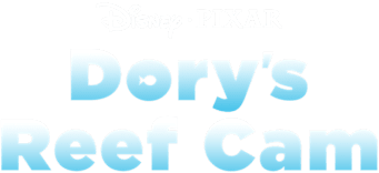 Dory's Reef Cam - Disney+