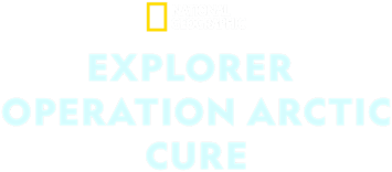 JioHotstar - Watch TV Shows, Movies, Specials, Live Cricket & Football