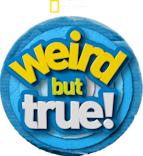 Weird But True! - Disney+