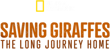 Disney+ Hotstar | Stream your favourite stories and more