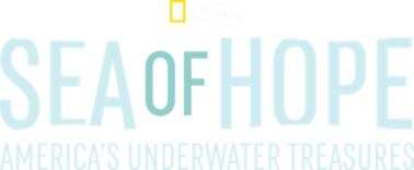 Sea of Hope: America's Underwater Treasures on Disney+ South Africa ...