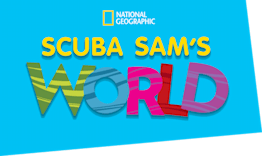 Scuba Sam's World - Disney+