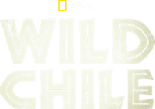 Wild Chile on Disney+ South Africa | English French (Parisian) Spanish ...