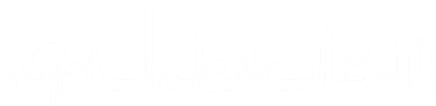 Vishwaroopam 2 - Disney+