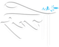 JioHotstar - Watch TV Shows, Movies, Specials, Live Cricket & Football