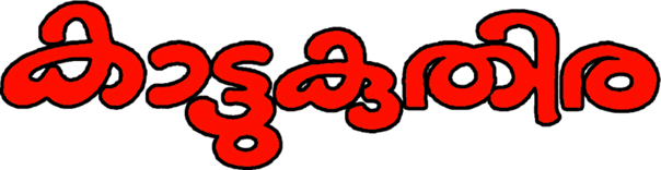 JioHotstar - Watch TV Shows, Movies, Specials, Live Cricket & Football