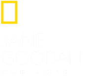 Jane Goodall: The Hope full movie. Documentary film di Disney+.
