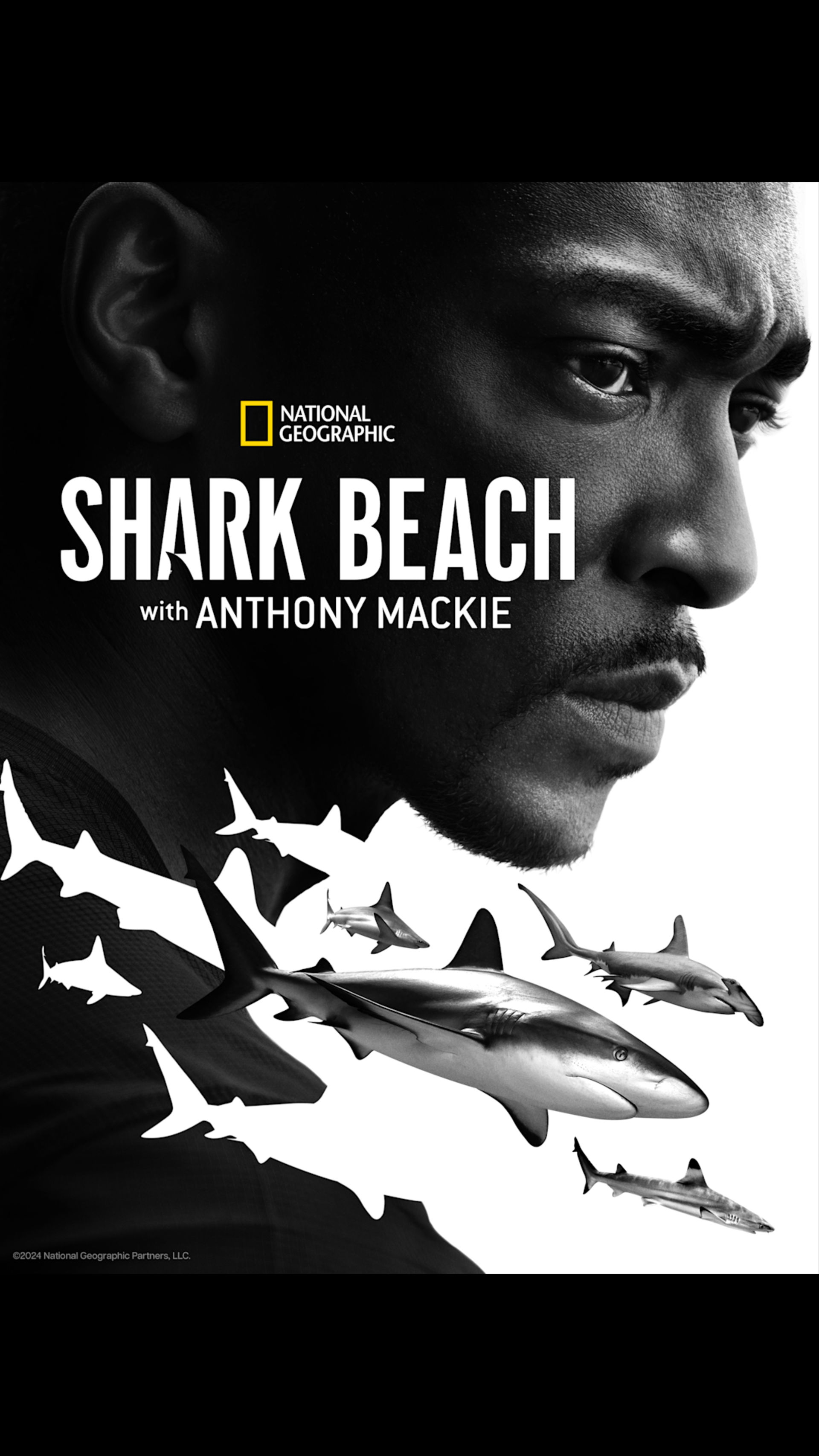 Disney+ | The greatest stories, all in one place