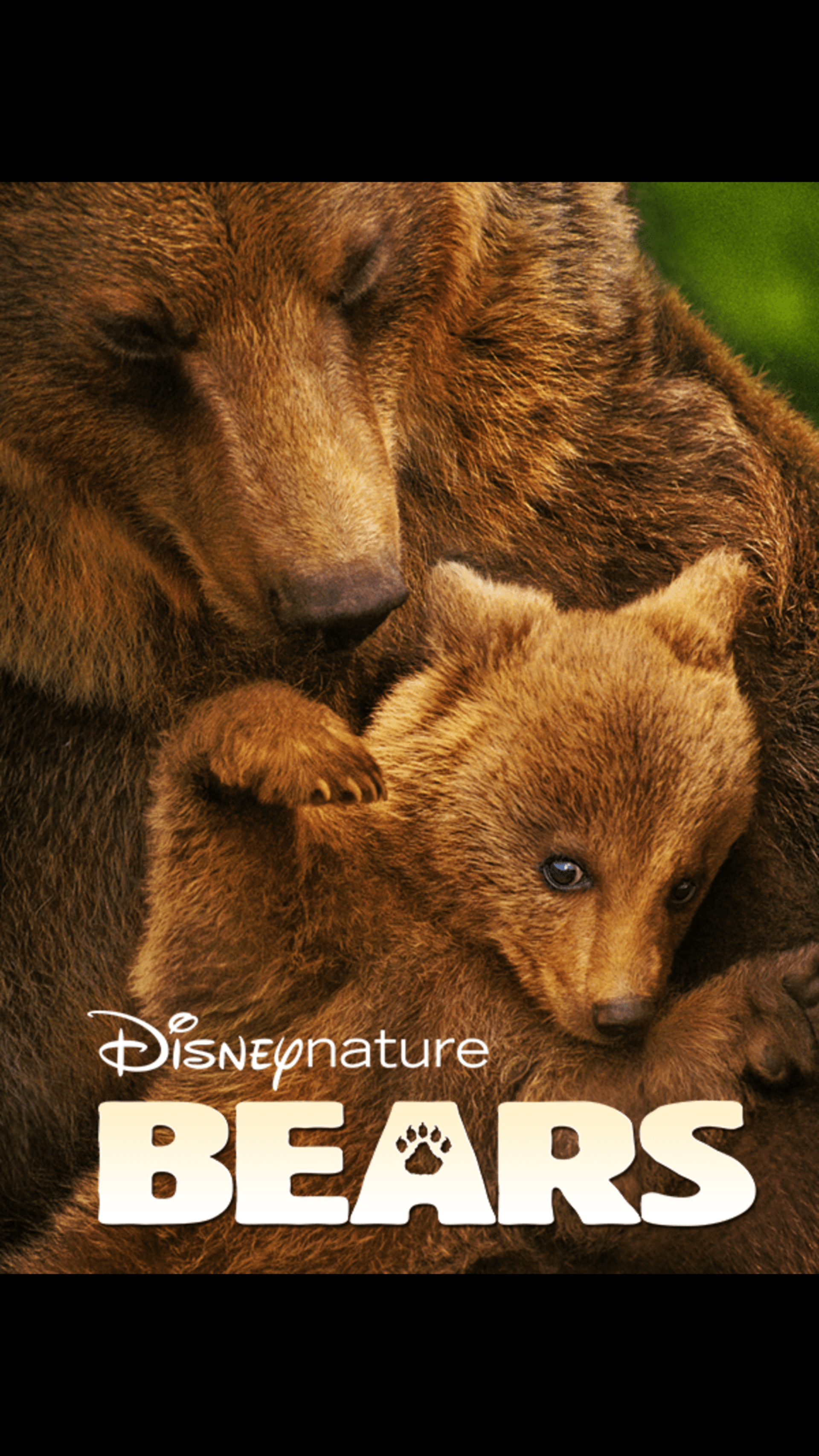 Disneynature Born in China - Disney+