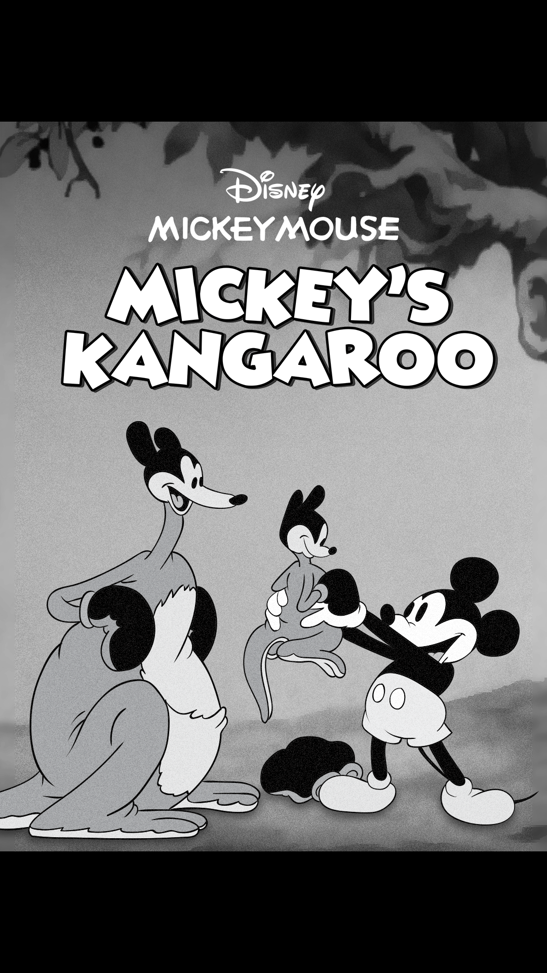 Disney+ | The greatest stories, all in one place