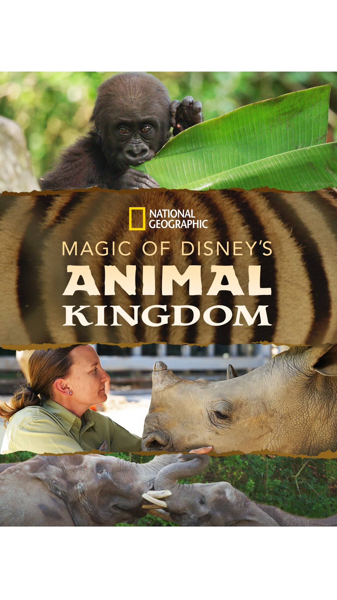 Disney+ | Stream your favourite stories and more