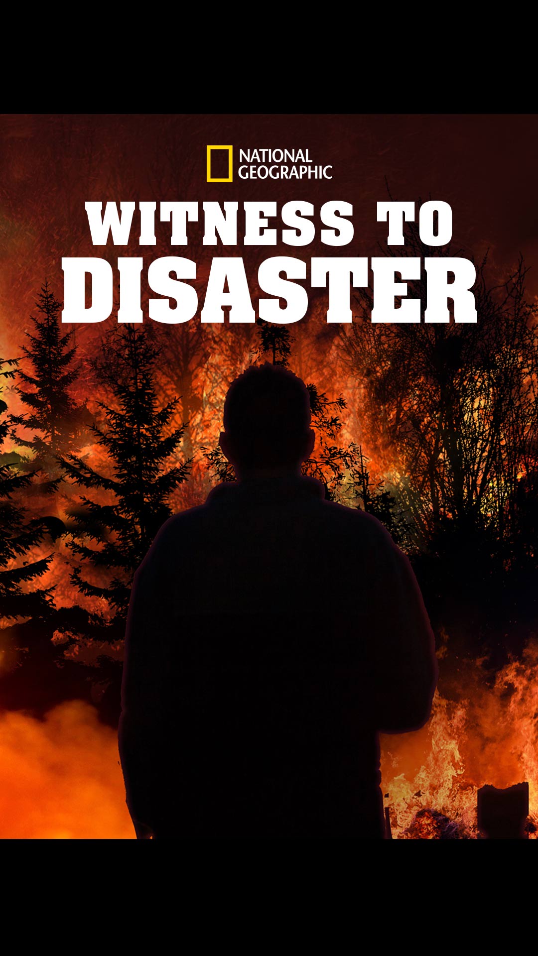 Air Crash Investigation Documentary Series, now streaming on Disney+