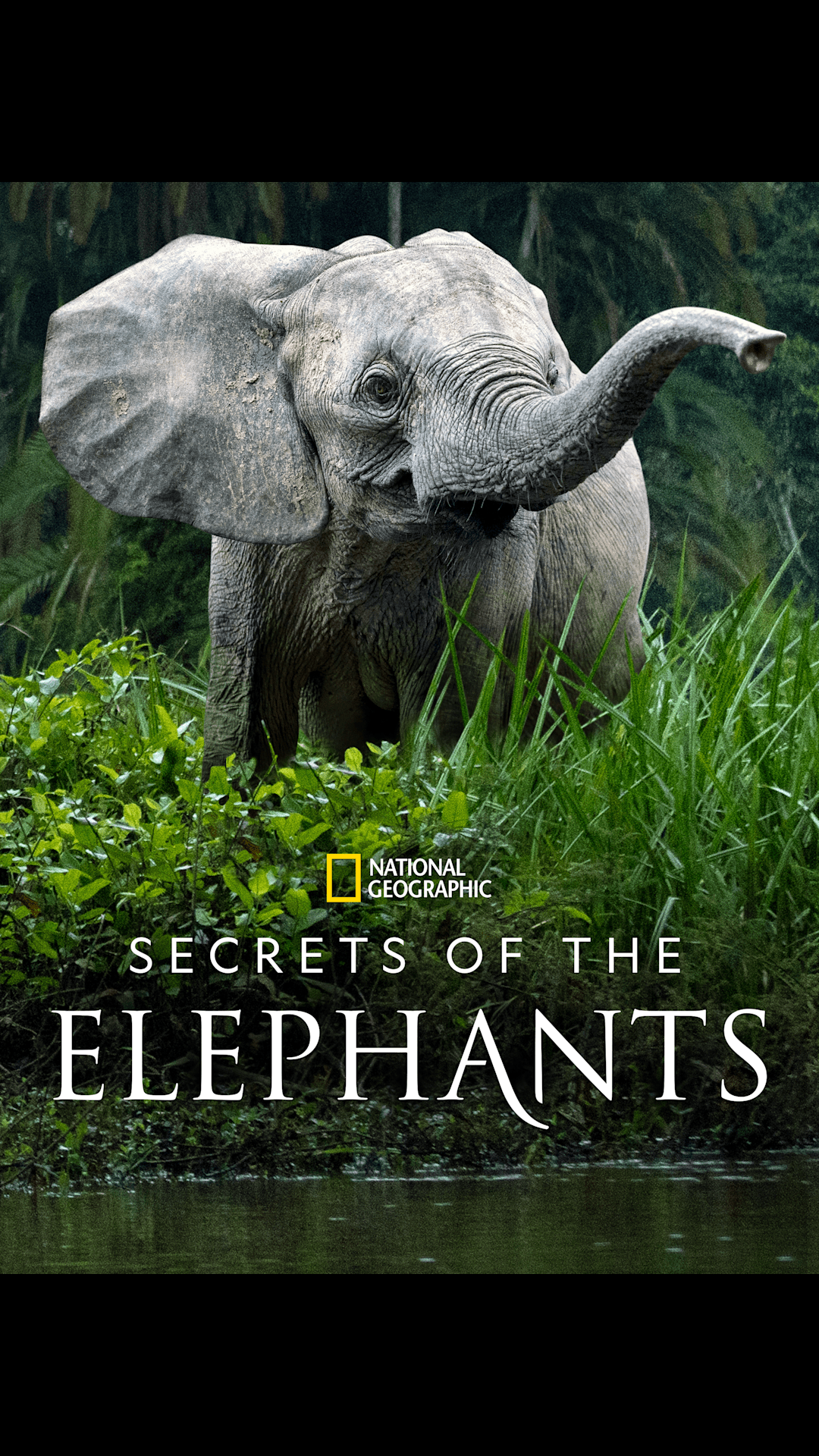 Disney+ | The greatest stories, all in one place