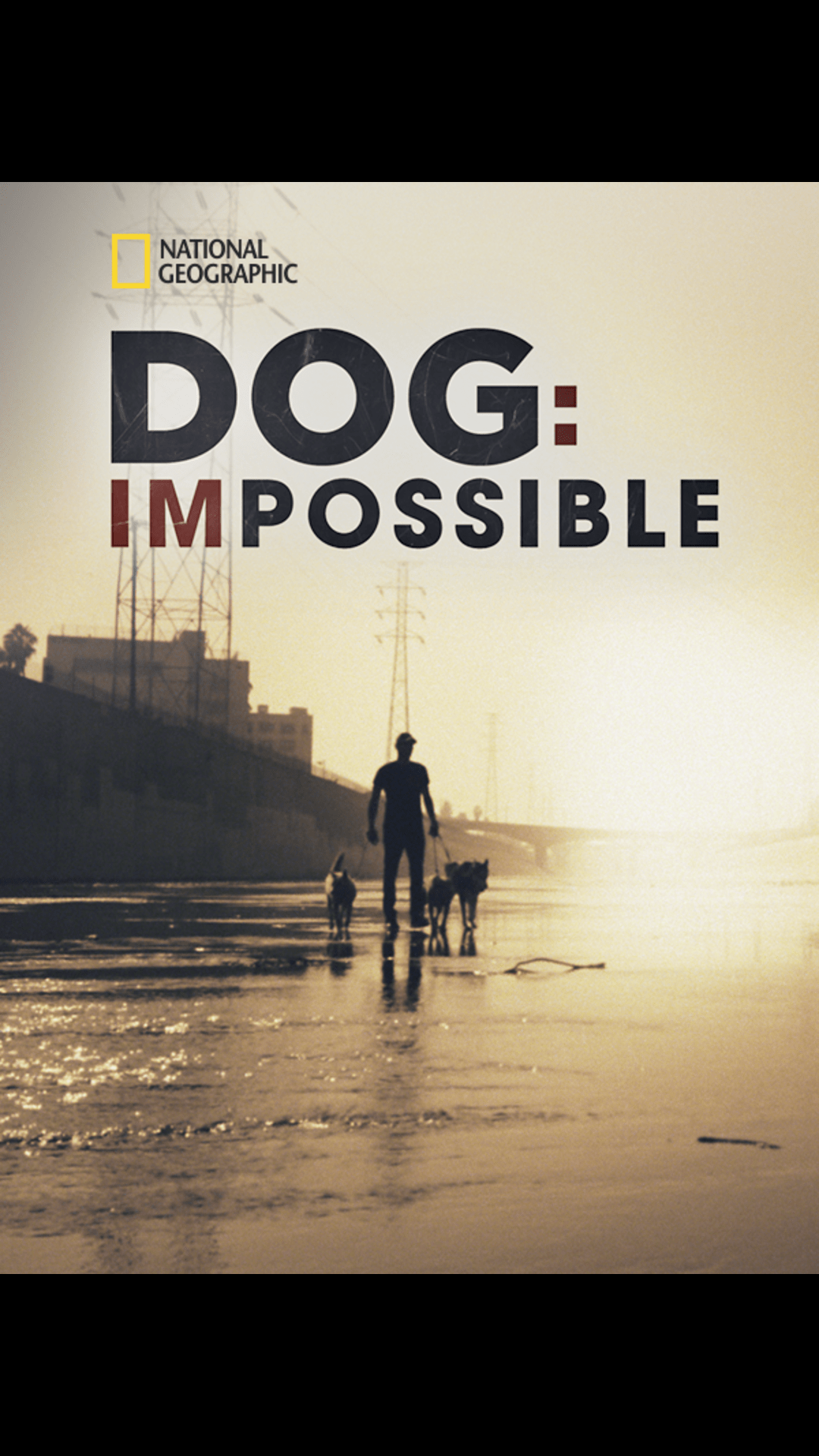 Disney+ | The greatest stories, all in one place