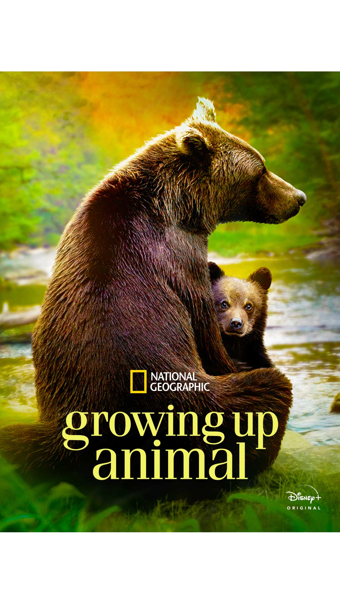 Disney+ | Stream your favourite stories and more