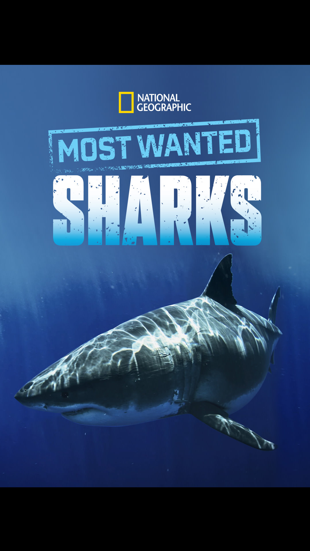 Disney+ | Stream your favourite stories and more