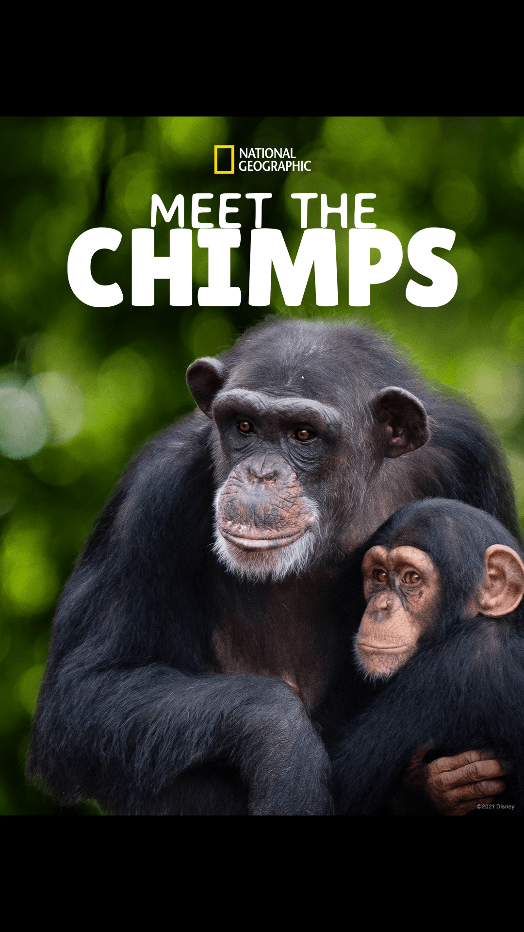 Disney+ | The greatest stories, all in one place