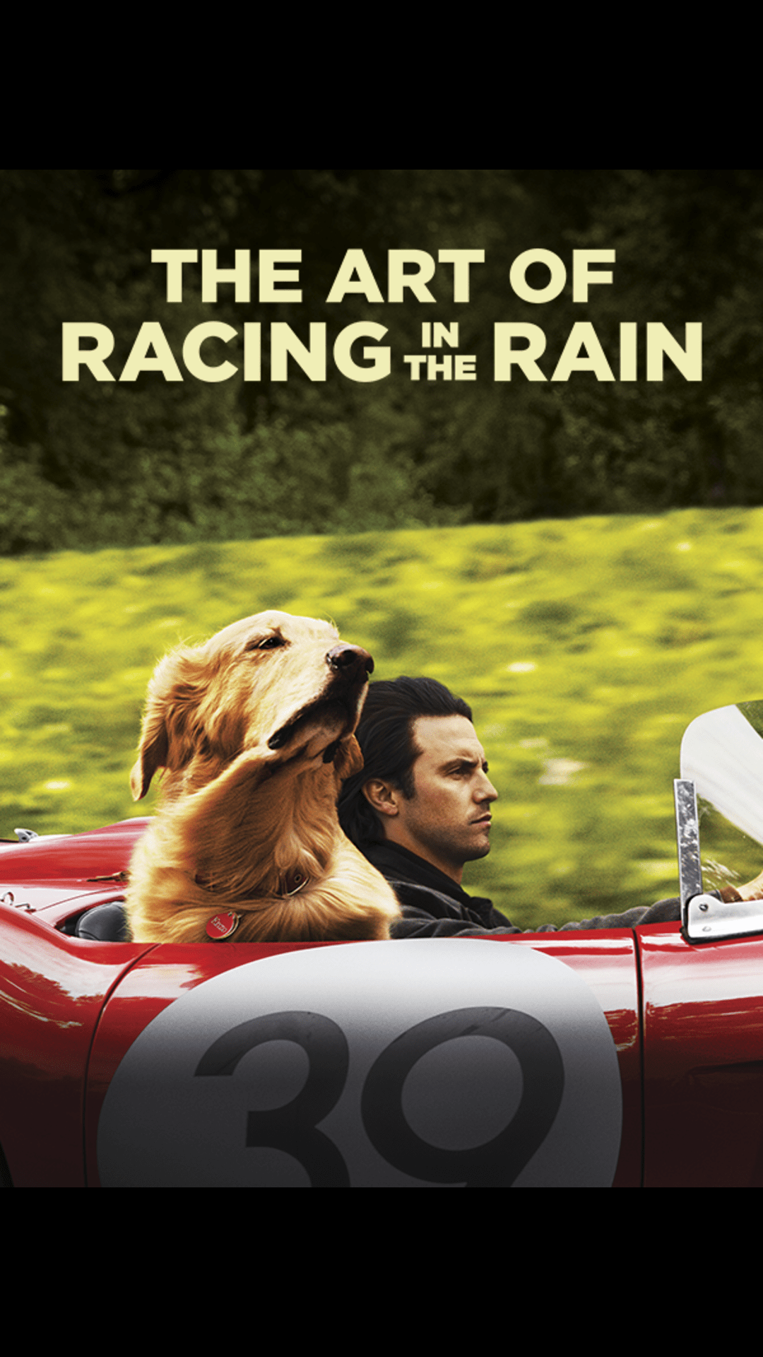 Disney+ | The greatest stories, all in one place