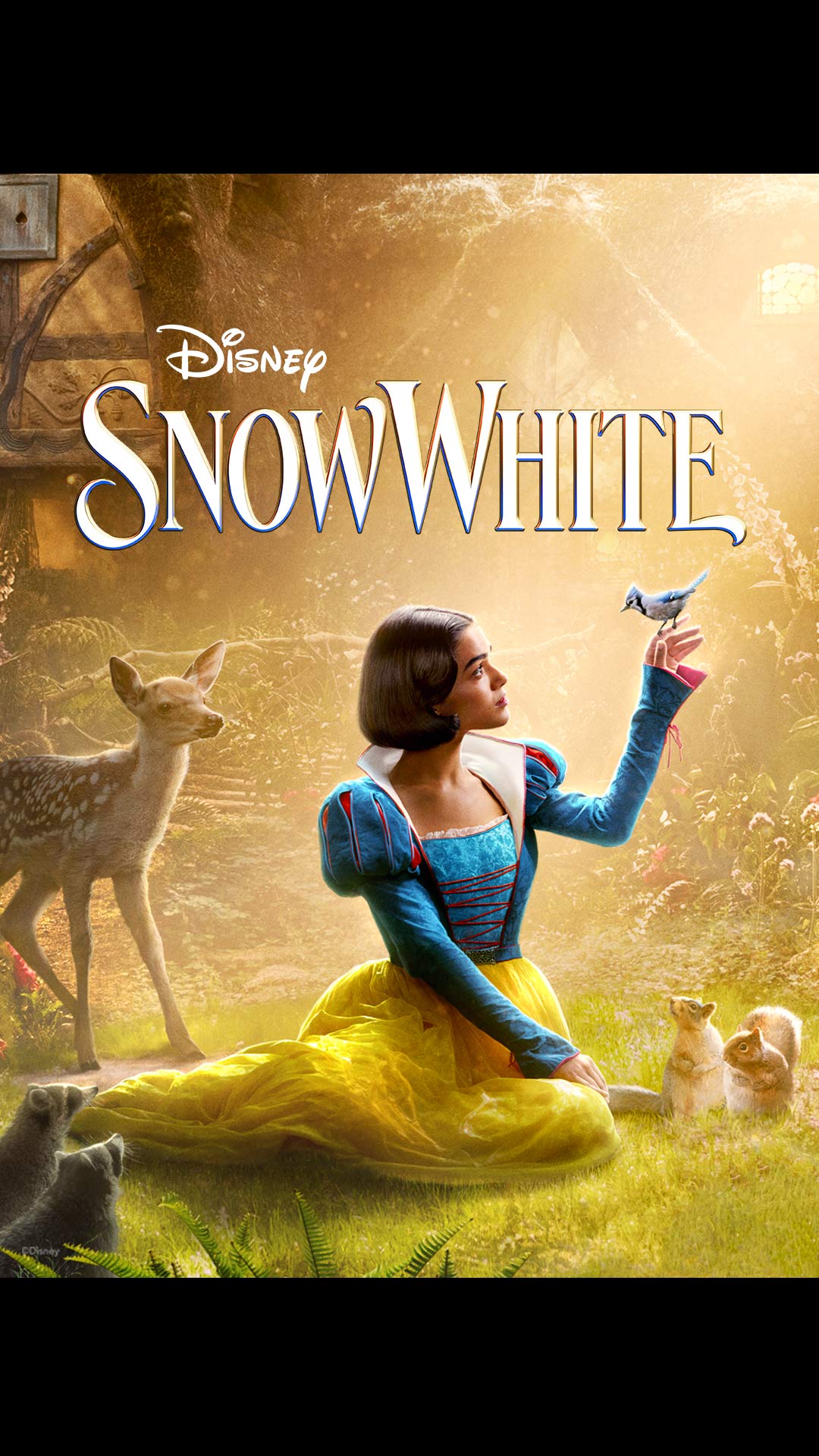 Disney+ | Stream your favourite stories and more