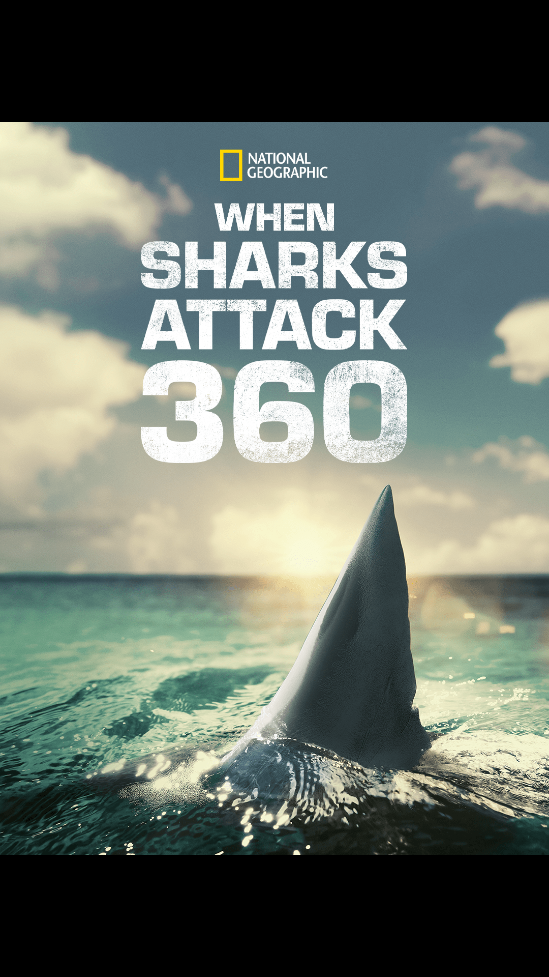 Disney+ | The greatest stories, all in one place