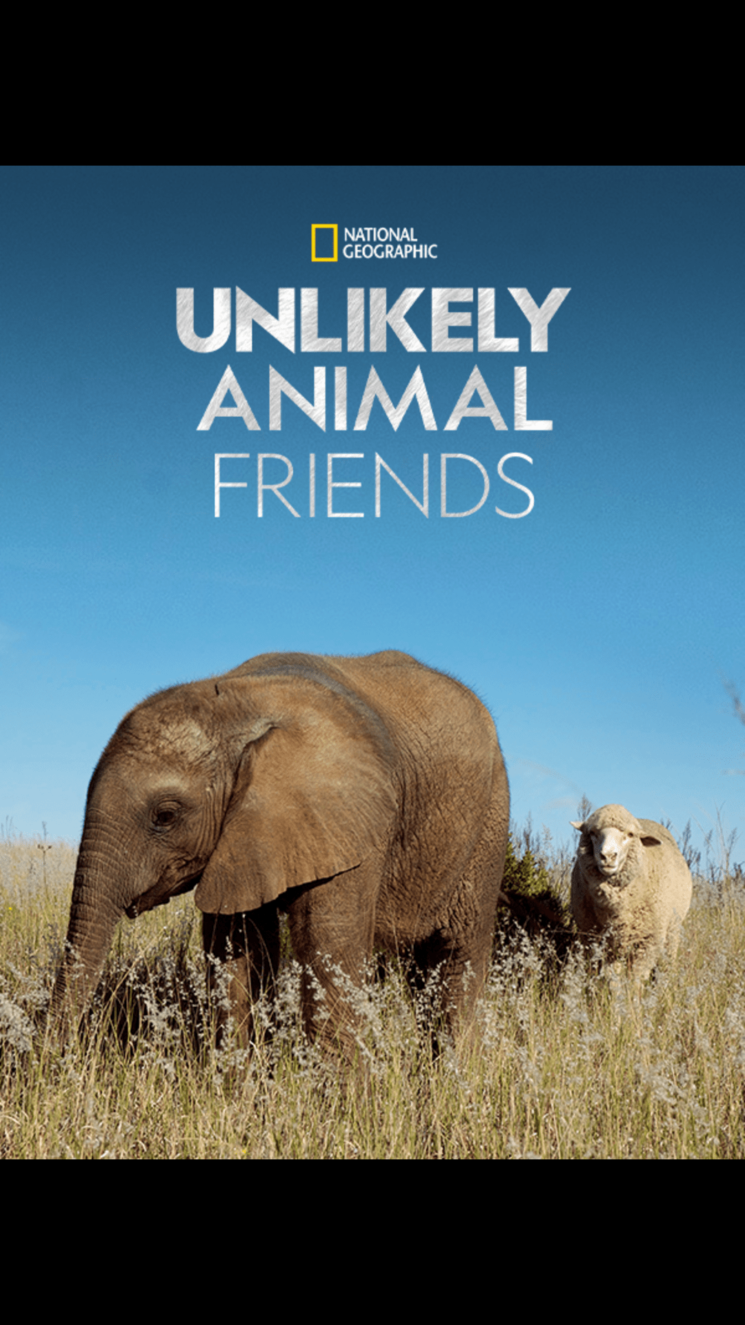 Growing Up Animal on Disney+ South Africa | English Docuseries Series