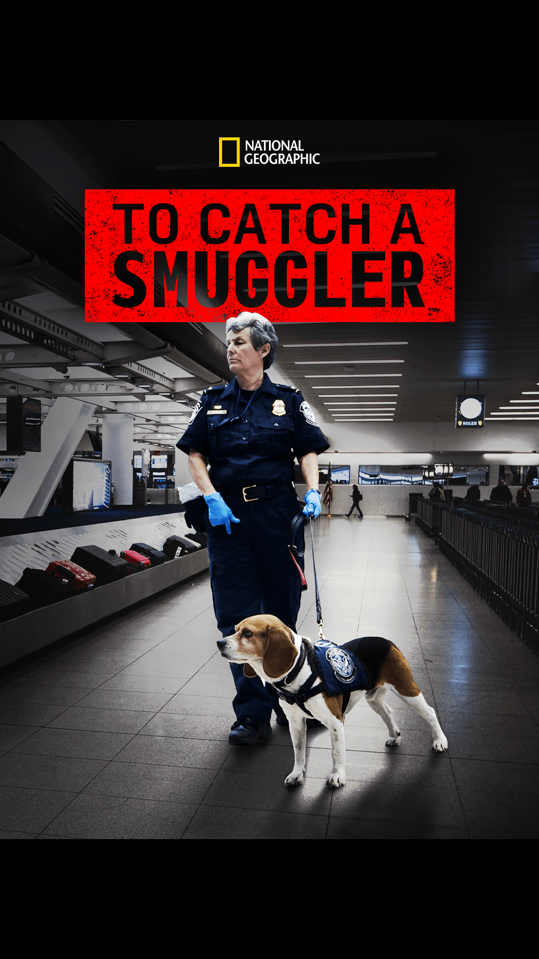 Disney+ | The greatest stories, all in one place