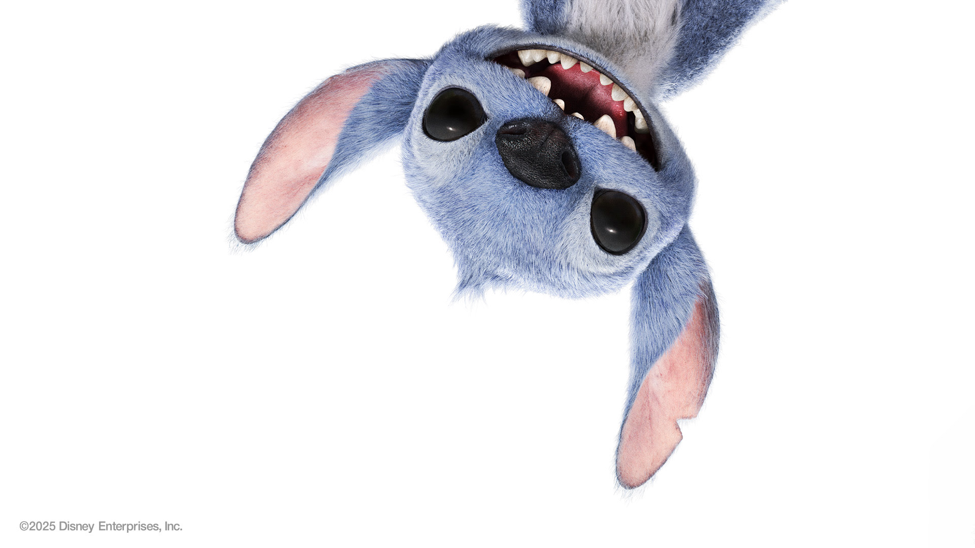 Lilo & Stitch | A Special Look on Disney+ Oman | English Arabic (Modern ...