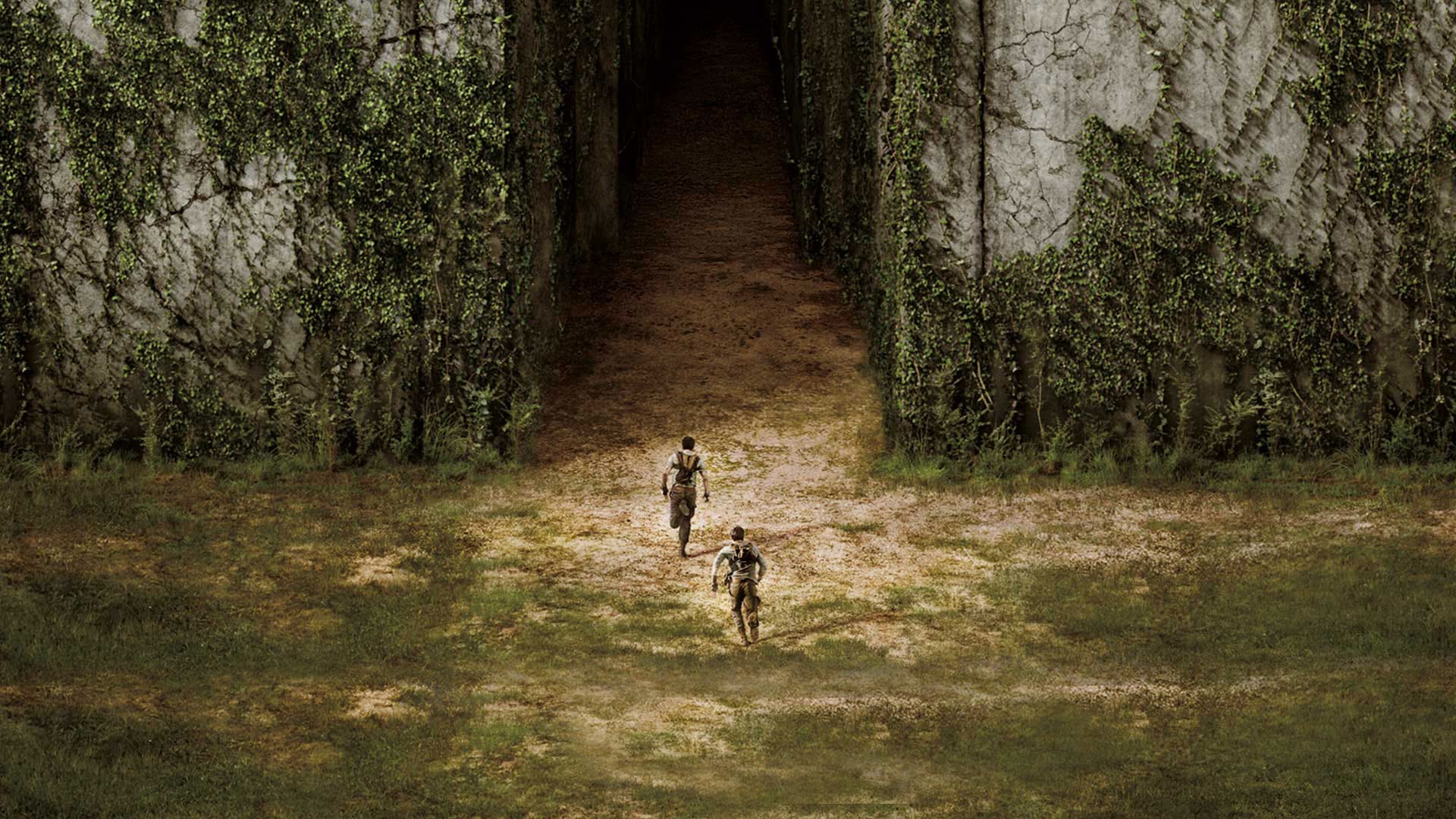 JioHotstar - Watch TV Shows, Movies, Specials, Live Cricket & Football