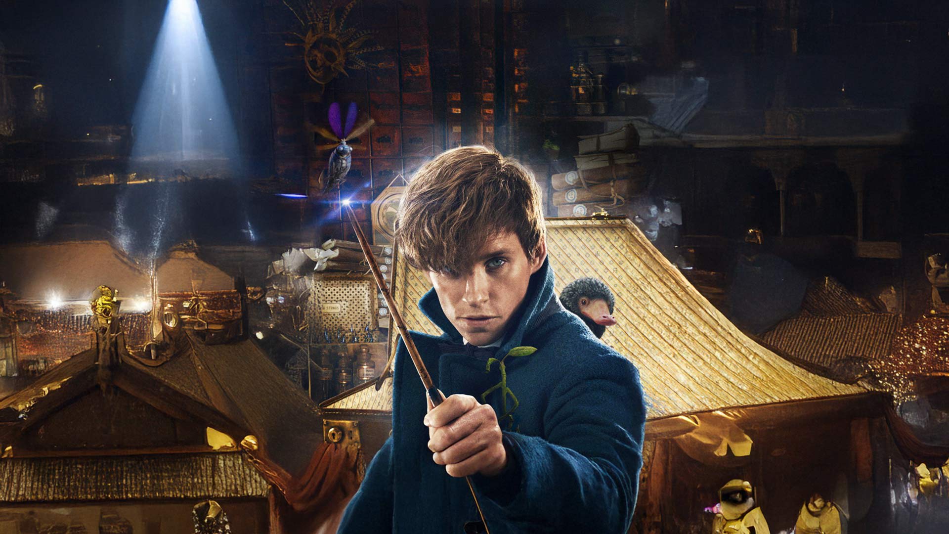 JioHotstar - Watch TV Shows, Movies, Specials, Live Cricket & Football