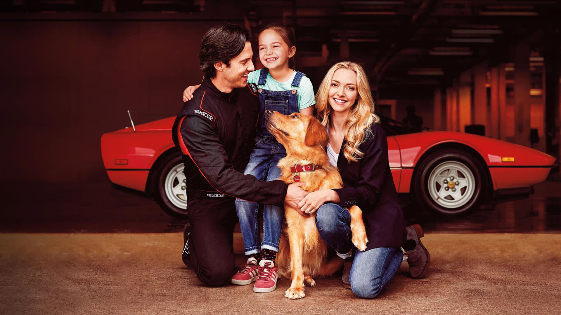 The Art of Racing in the Rain - Disney+