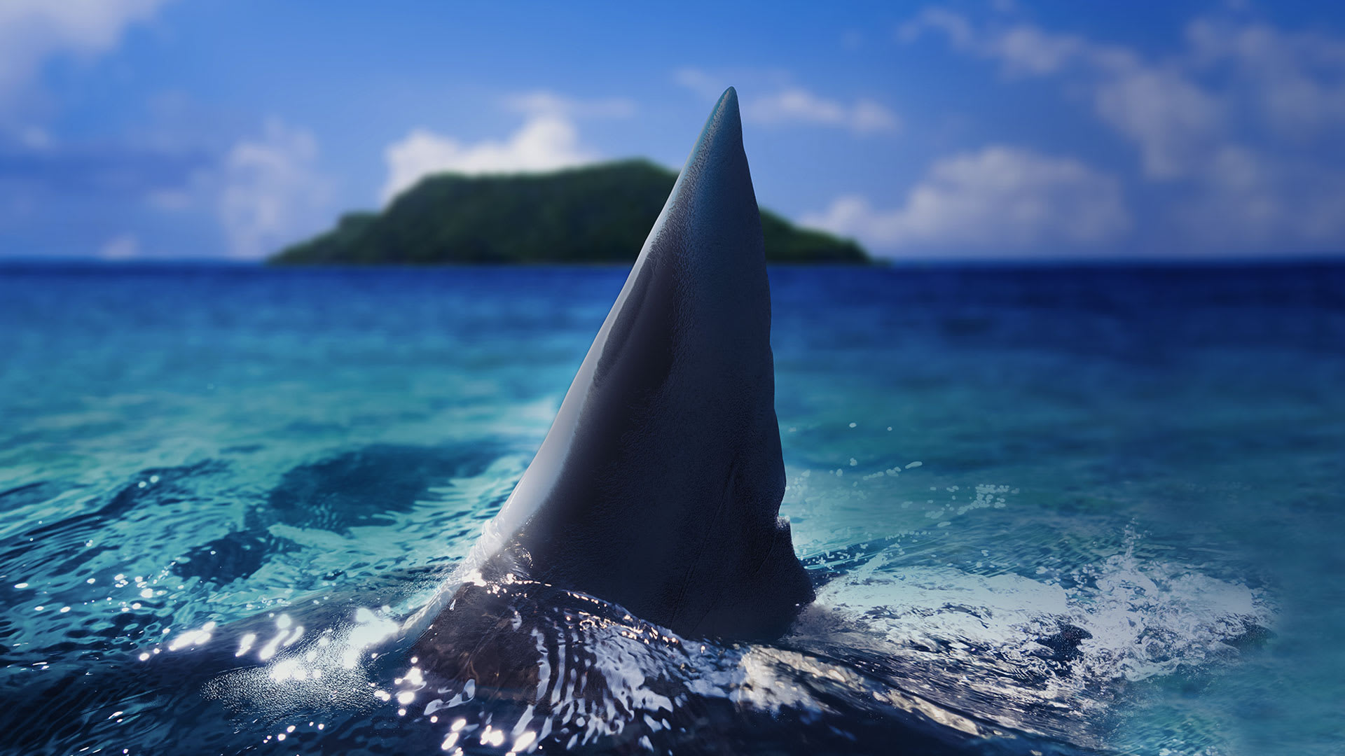 Sharks of Lost Island on Disney+ South Africa | English French ...