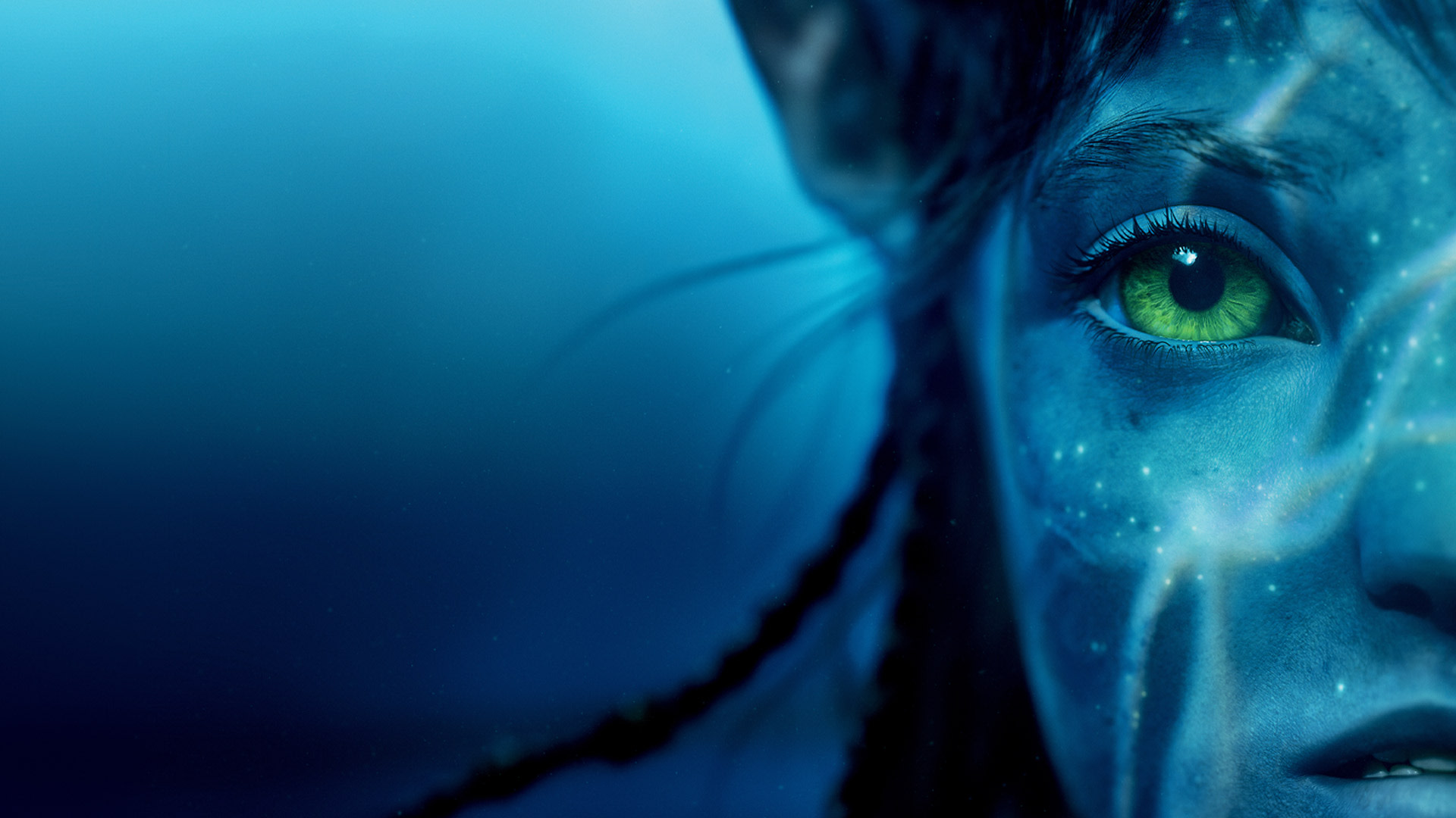 Avatar: The Deep Dive — A Special Edition of 20/20 on Disney+ Morocco ...