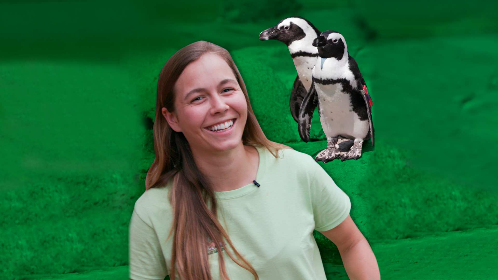 Sam's Zookeeper Challenge - Disney+
