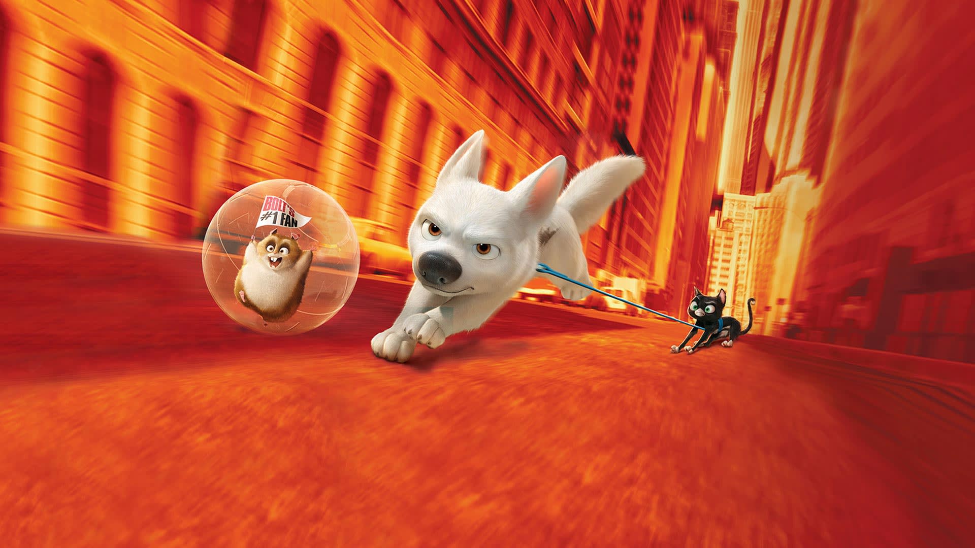 Bolt on Disney+ Palestine | Arabic (Classical Egyptian) English Spanish ...