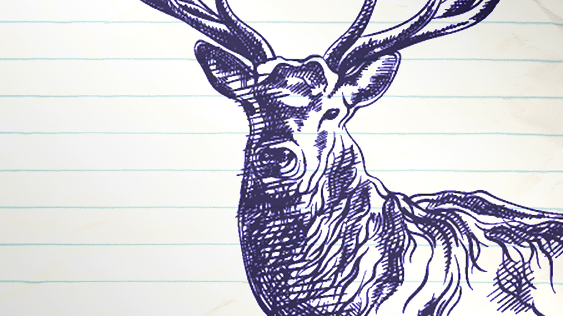 ซีรีส์ United States Of Animals Documentary รับชมได้เลยบน Disney+
