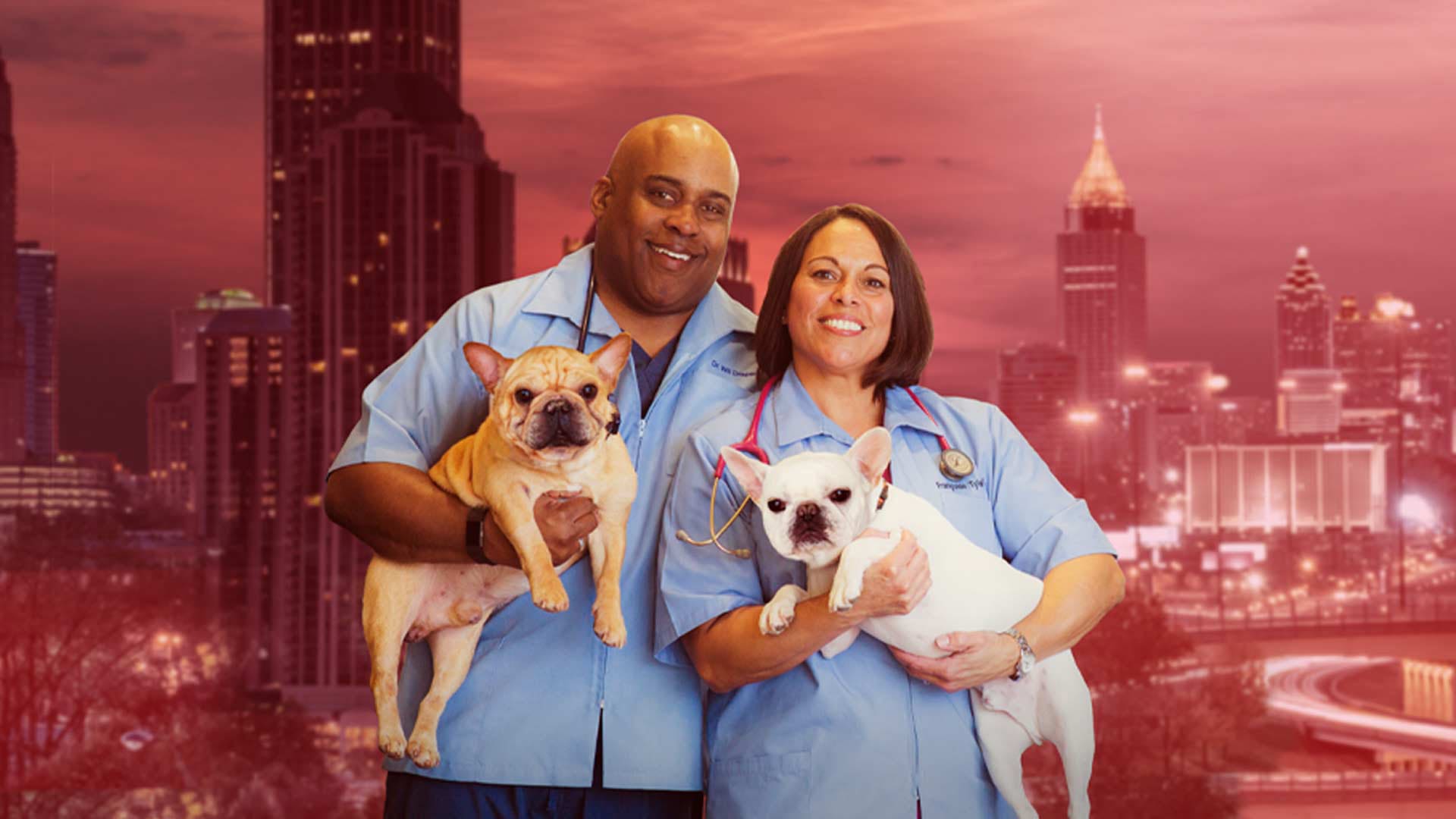 Love & Vets, Family Reality TV Series - Nonton Semua Episode Terbaru ...