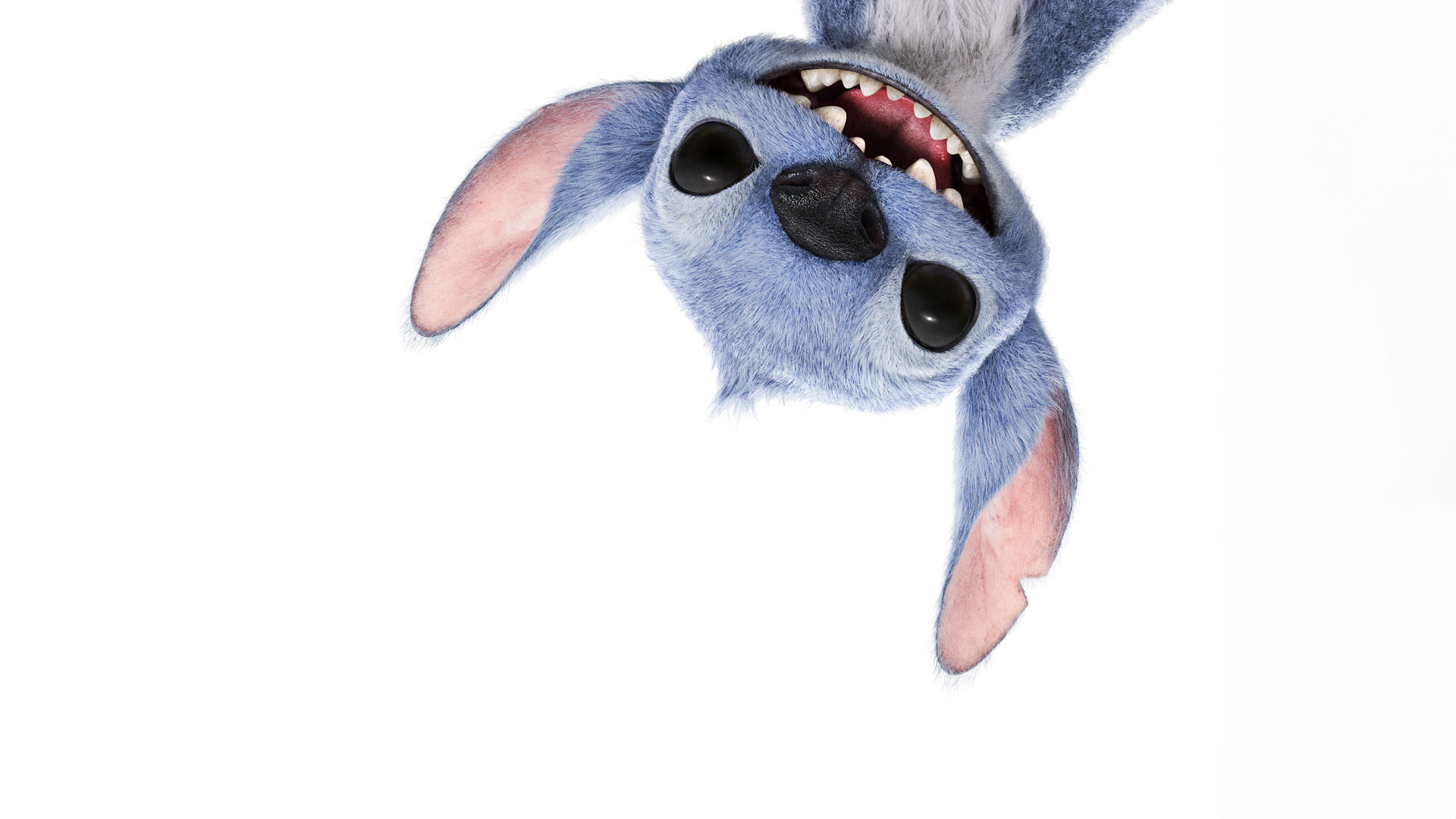 Lilo & Stitch | A Special Look - Disney+