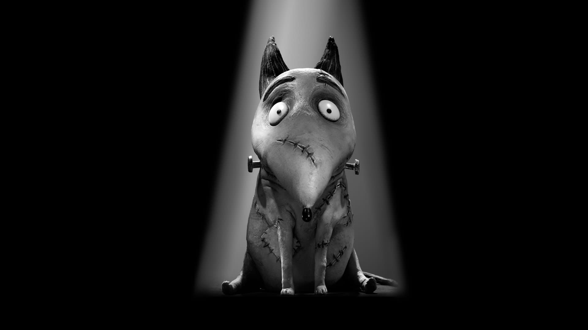 Frankenweenie full movie. Kids film di Disney+.