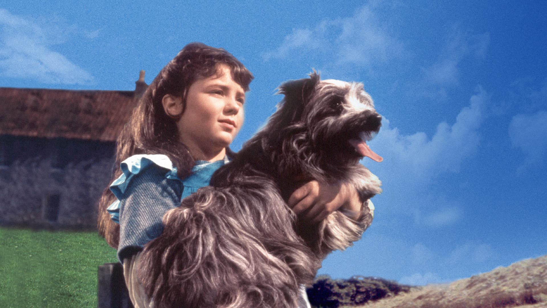 Greyfriars Bobby on Disney+ Bahrain | Spanish (Latin America) Italian ...