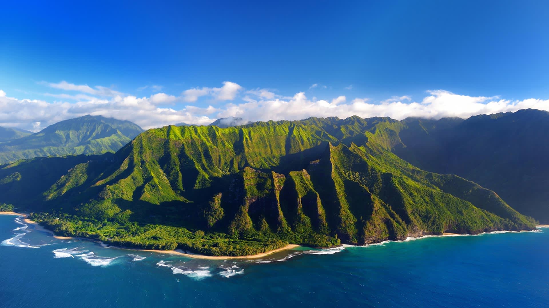 Wild Hawaii on Disney+ South Africa | English Series