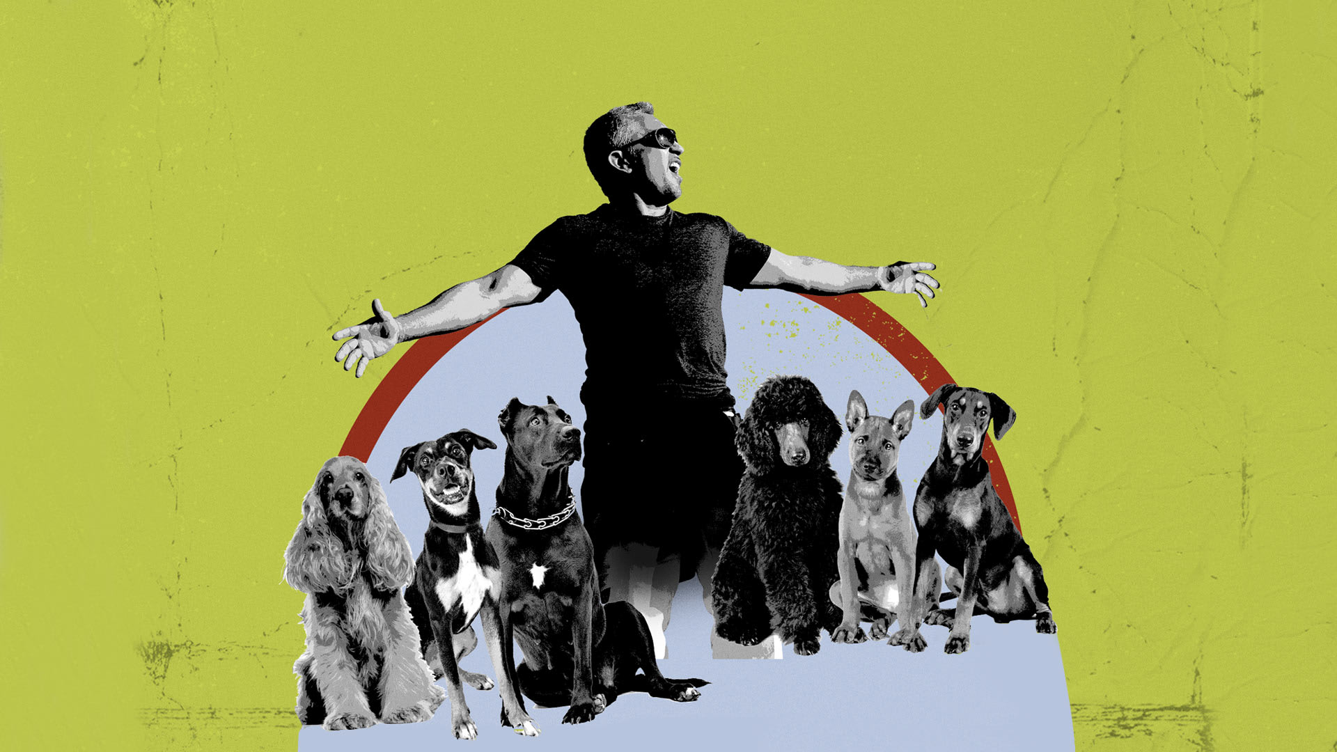 Cesar Millan: The Real Story - Disney+