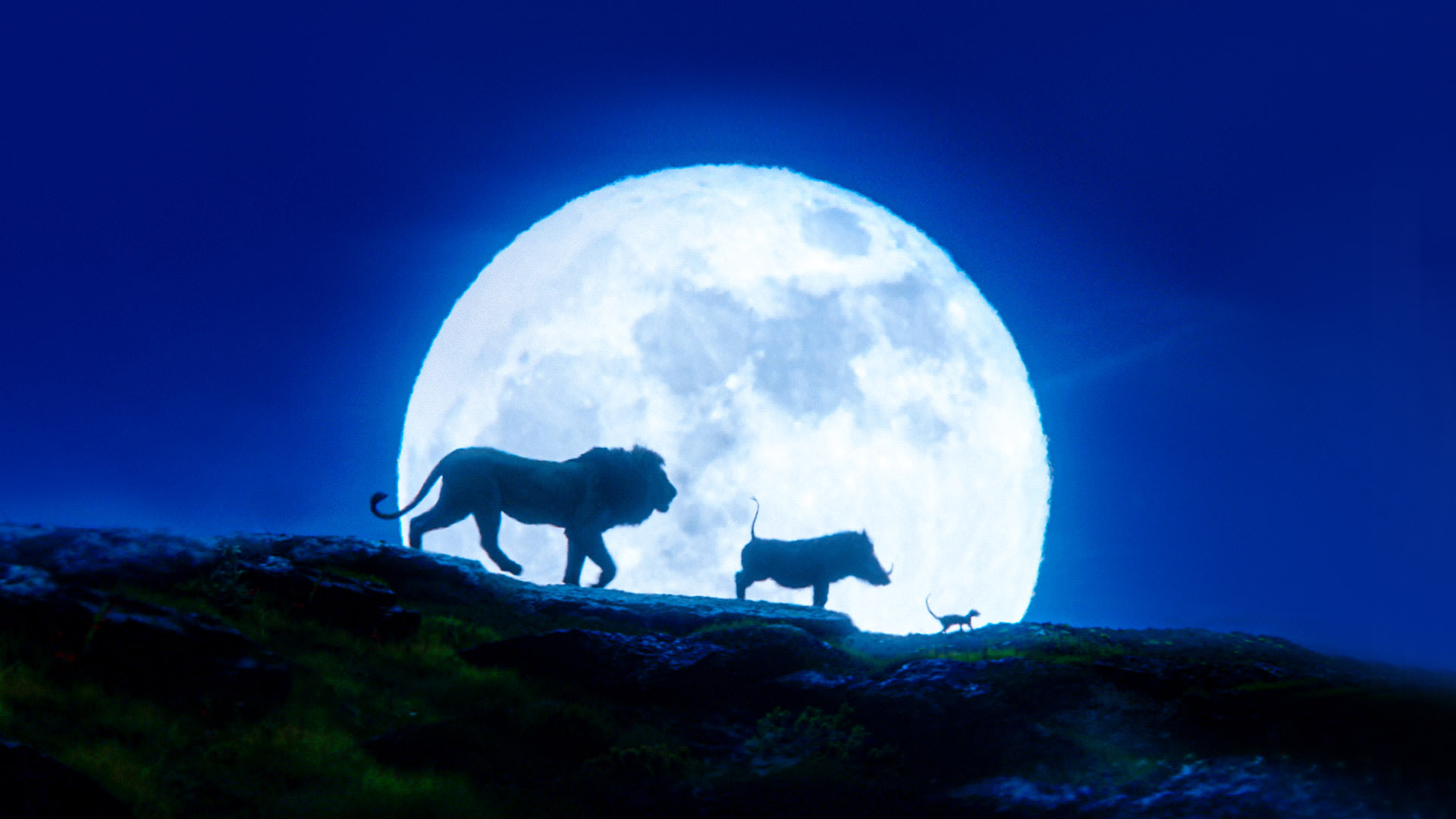The Lion King (2019) (Sing-Along Version) full movie. Kids film di Disney+.