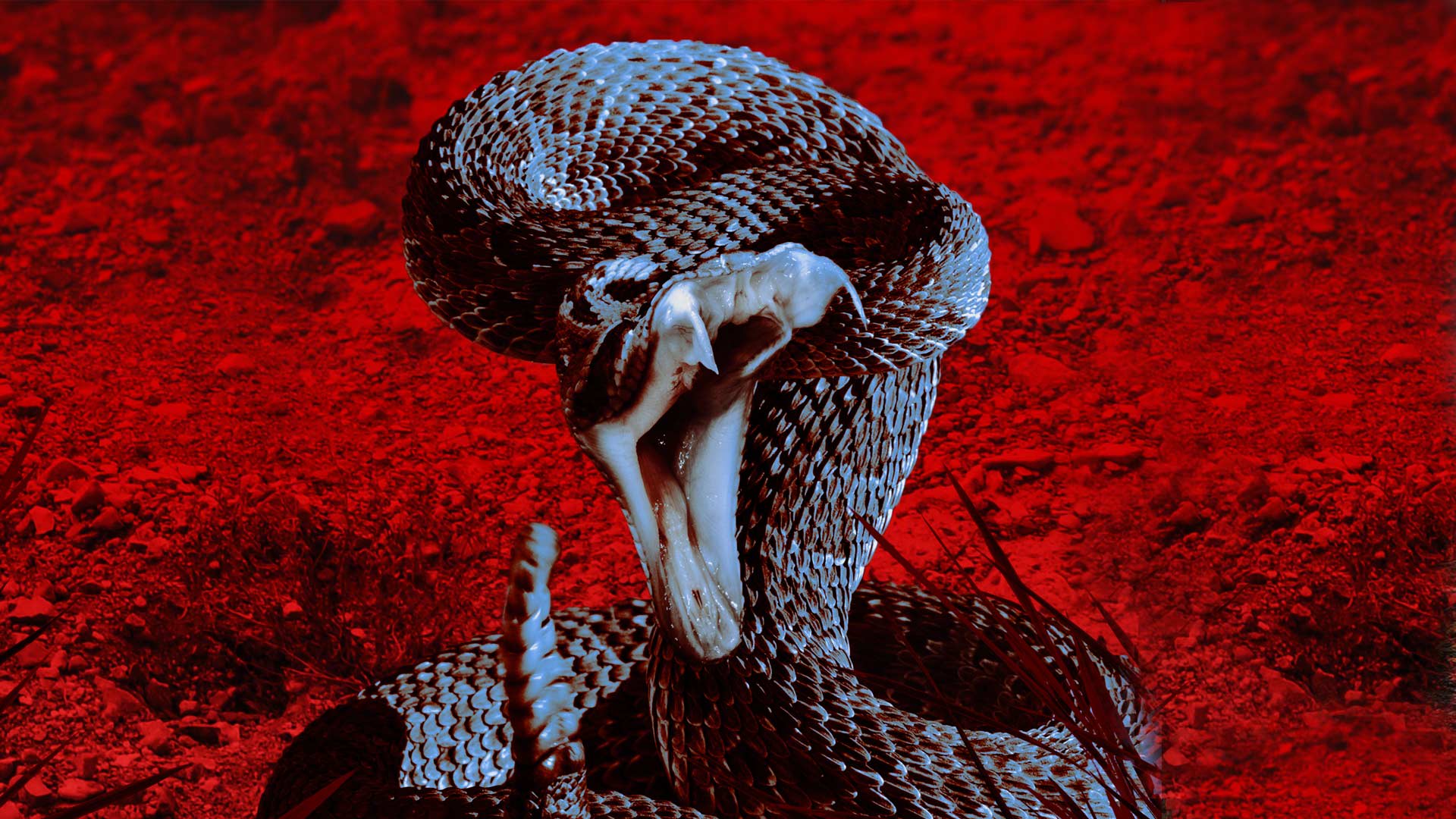 Something Bit Me! - Disney+